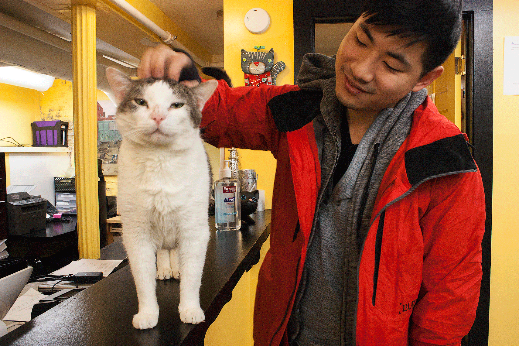 Volunteer — AnimalKind