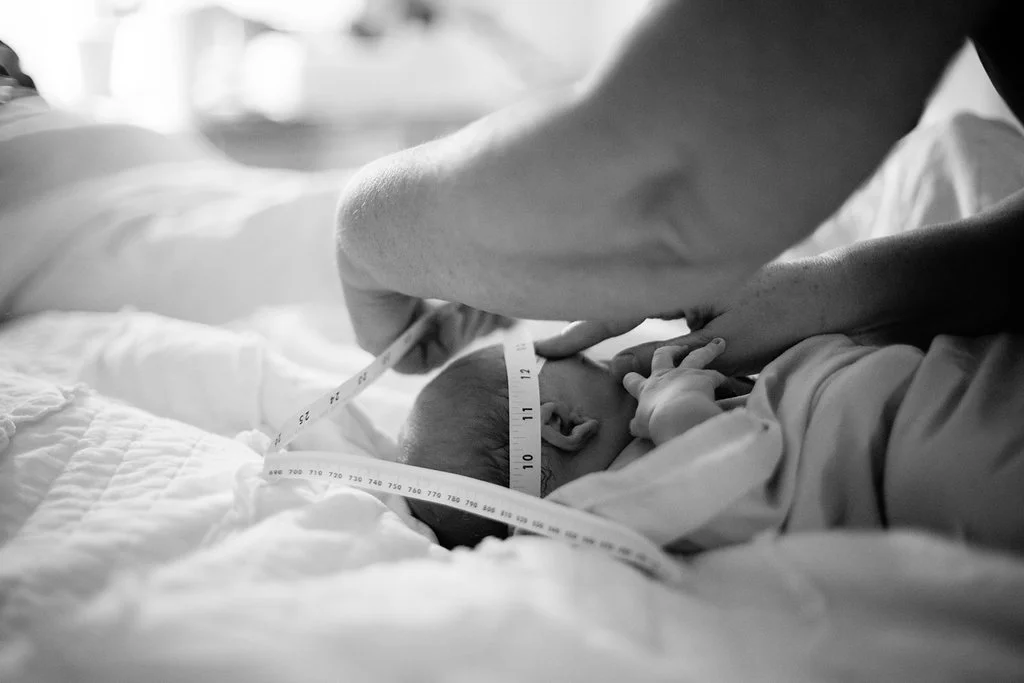 Meet our Team — MIDWIVES COOPERATIVE