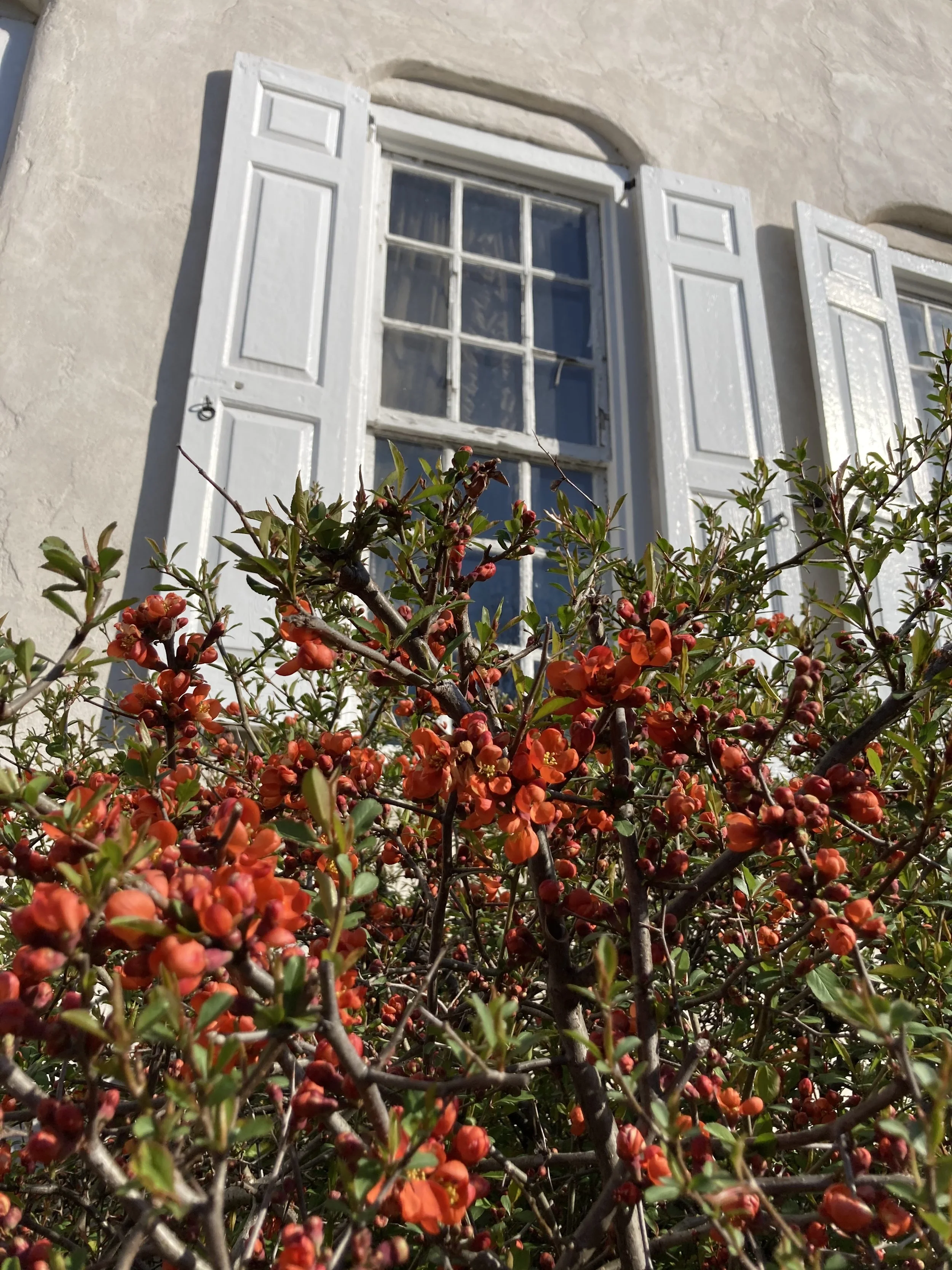 Events Calendar — Historic Hope Lodge