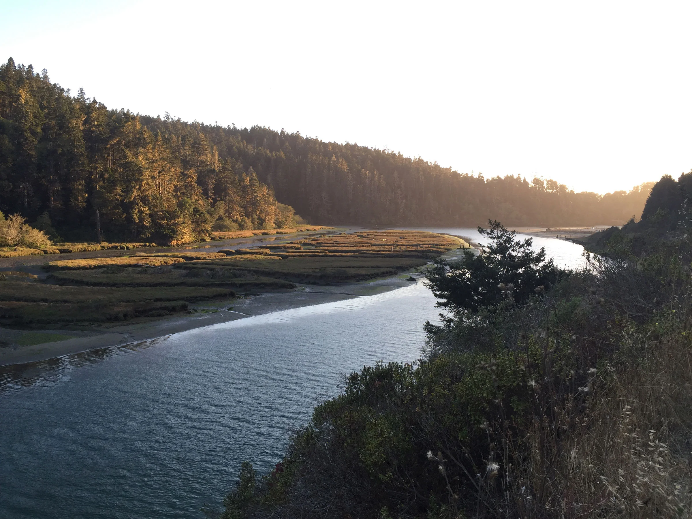 Beaches & Rivers — Mendocino Grove