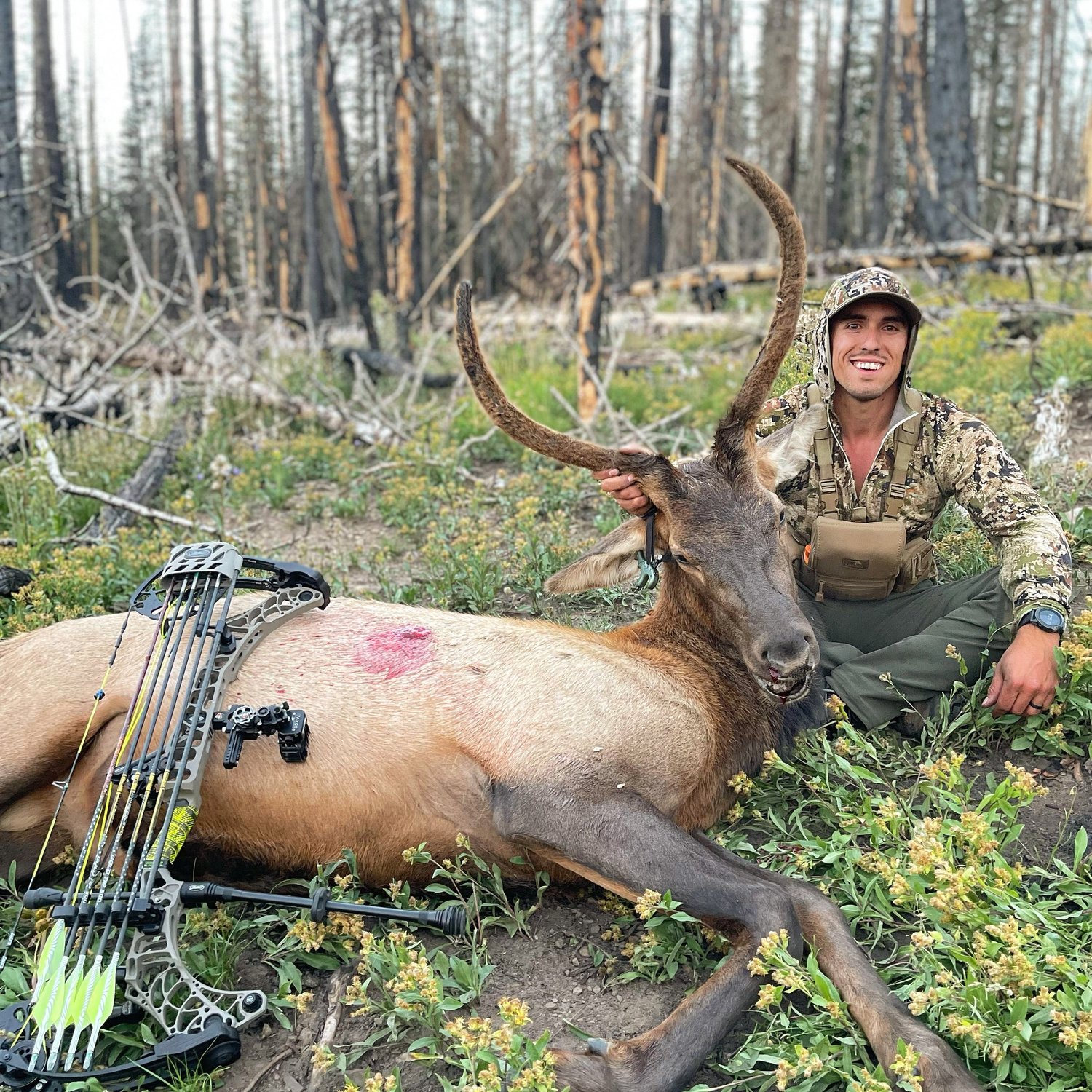 5 Elk Hunting Tips for Beginners | A Guide to Your First Elk Hunt ...