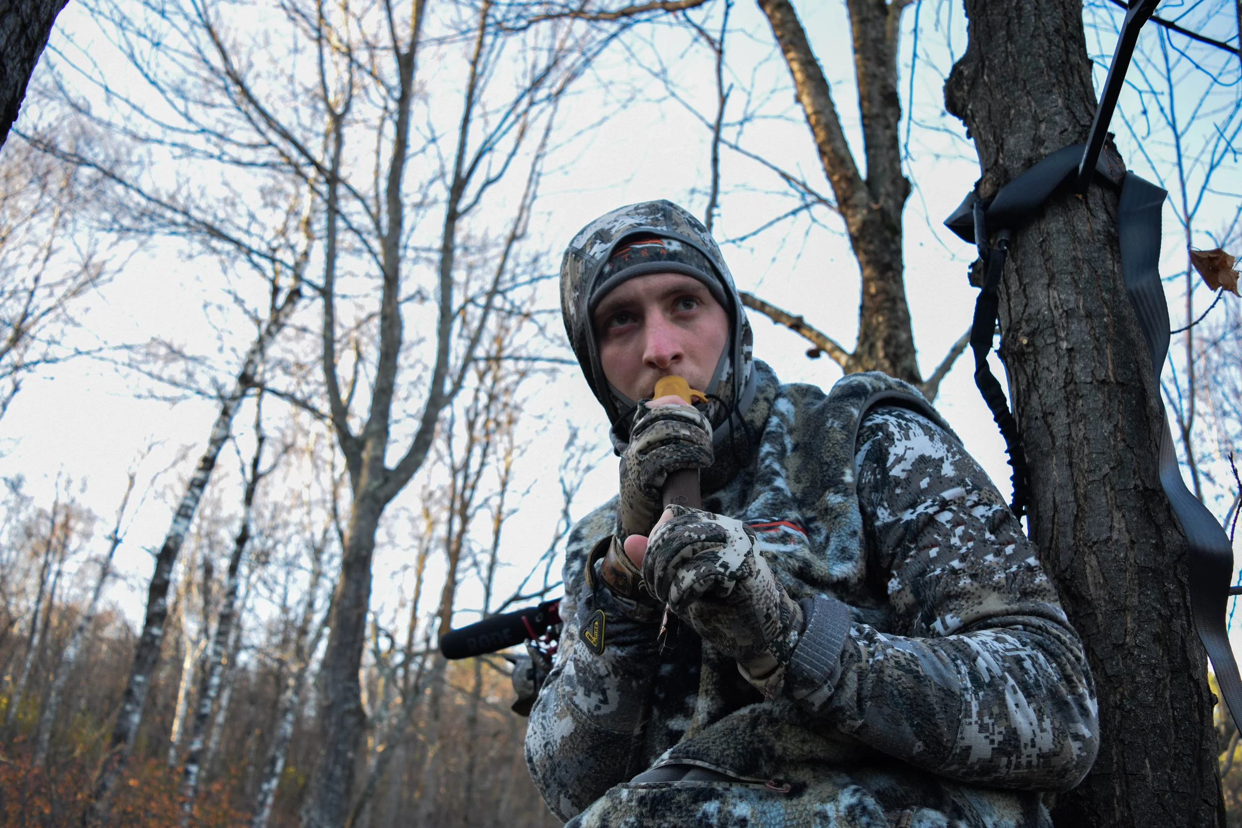 Four Things to Think About When Calling during the Pre-Rut | WhitetailDNA