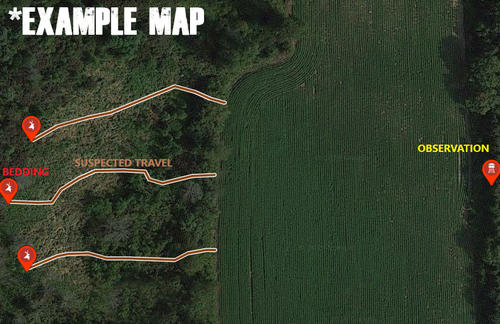 5 Tips For Hunting Buck Bedding Areas | WhitetailDNA