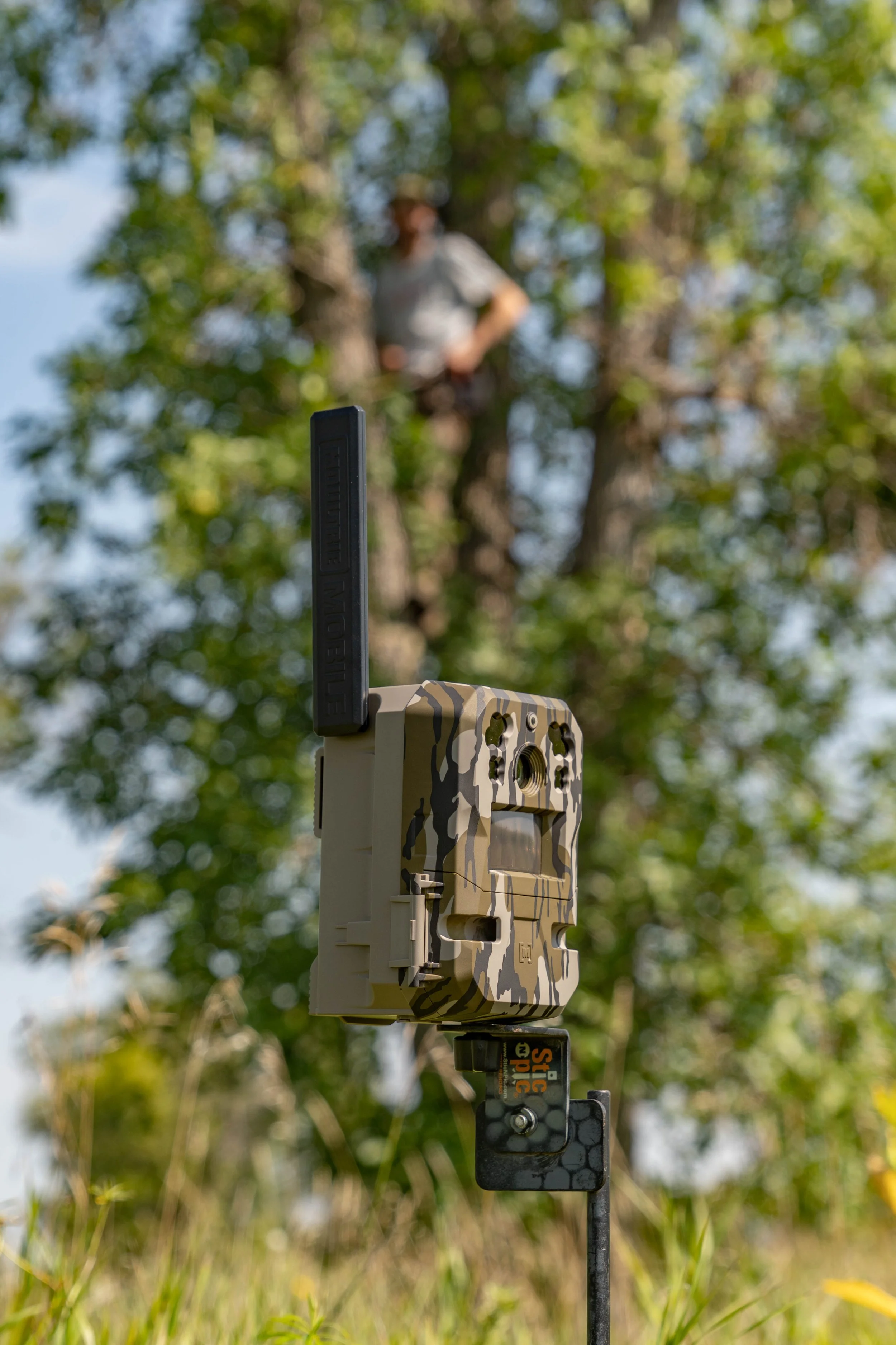 Early Season Trail Camera Tips WhitetailDNA early-season-trail-camera-tips-whitetaildna