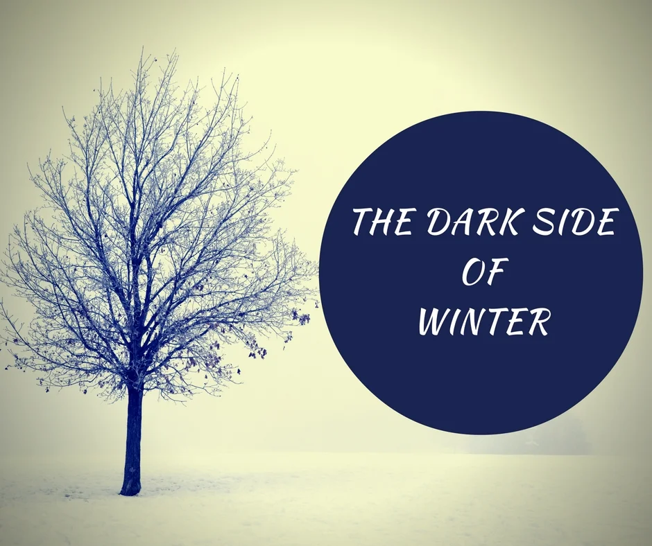 The Complex Themes of Winter Poetry: Creating a Winter Poetry Unit for ...