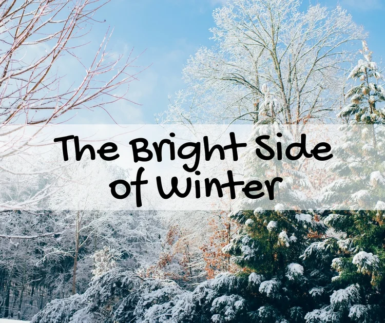 The Complex Themes of Winter Poetry: Creating a Winter Poetry Unit for ...