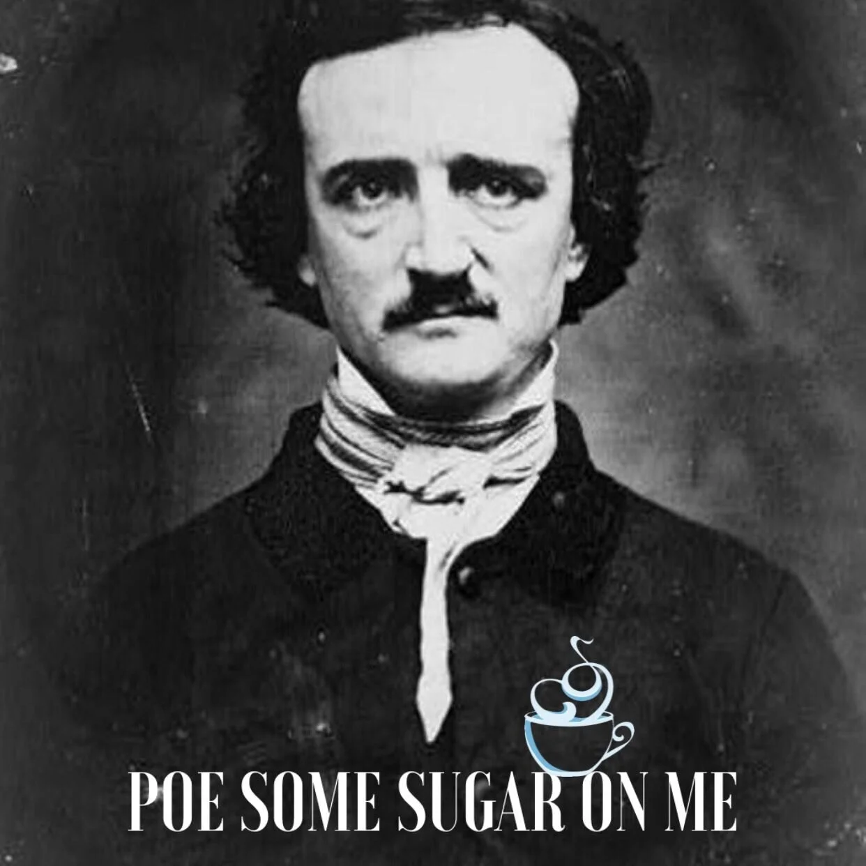 Poe Puns: A Punny Satire Activity Lesson Plan for Middle School + High ...