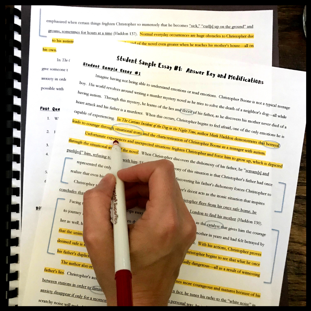 The Ultimate Literary Analysis Essay Guide: 20 Mini-lessons for Success ...