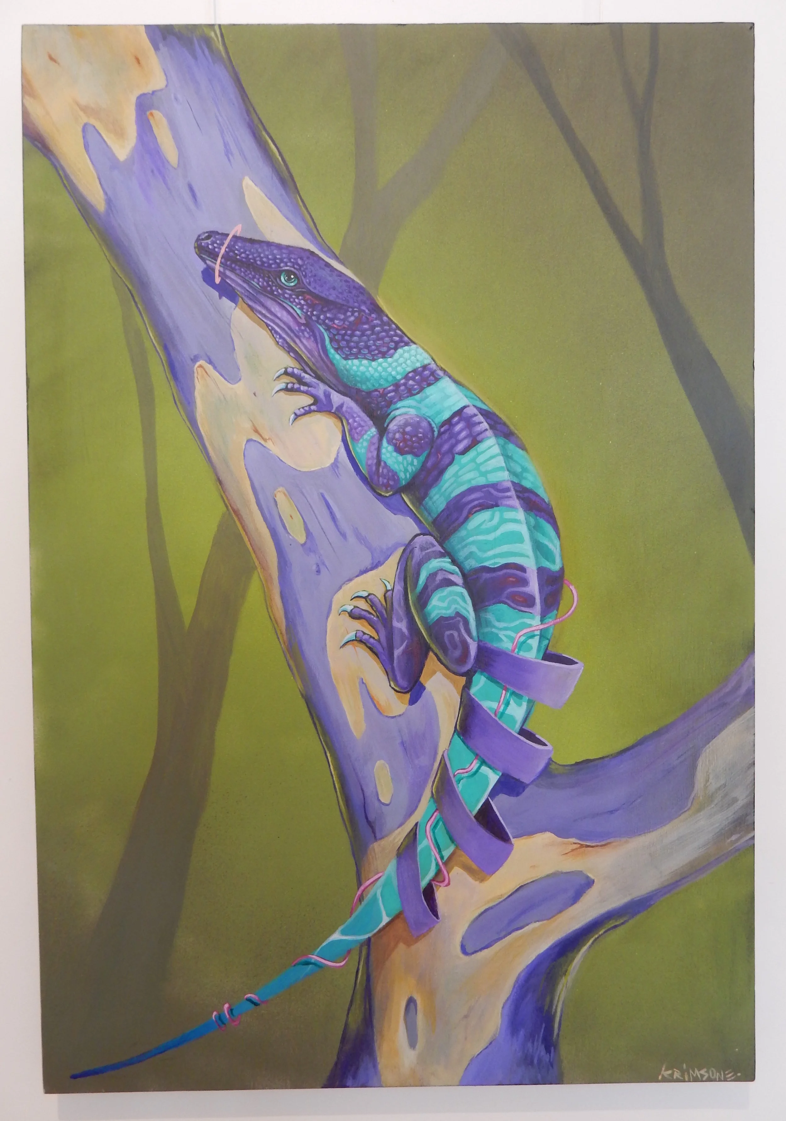 Krimsone Paintings & Street Art