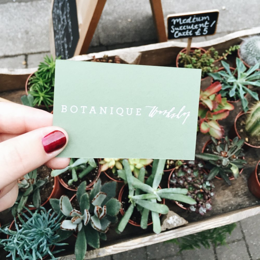 My Favourite Succulent and Cacti Shops in East London 🌵 — Booksandquills