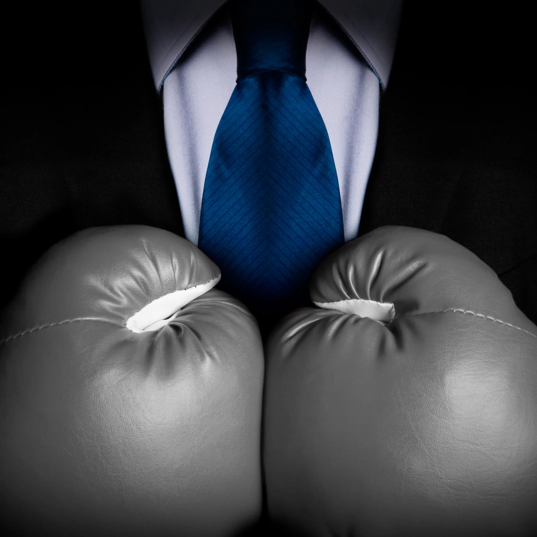 Elan Elite — LMD Designs