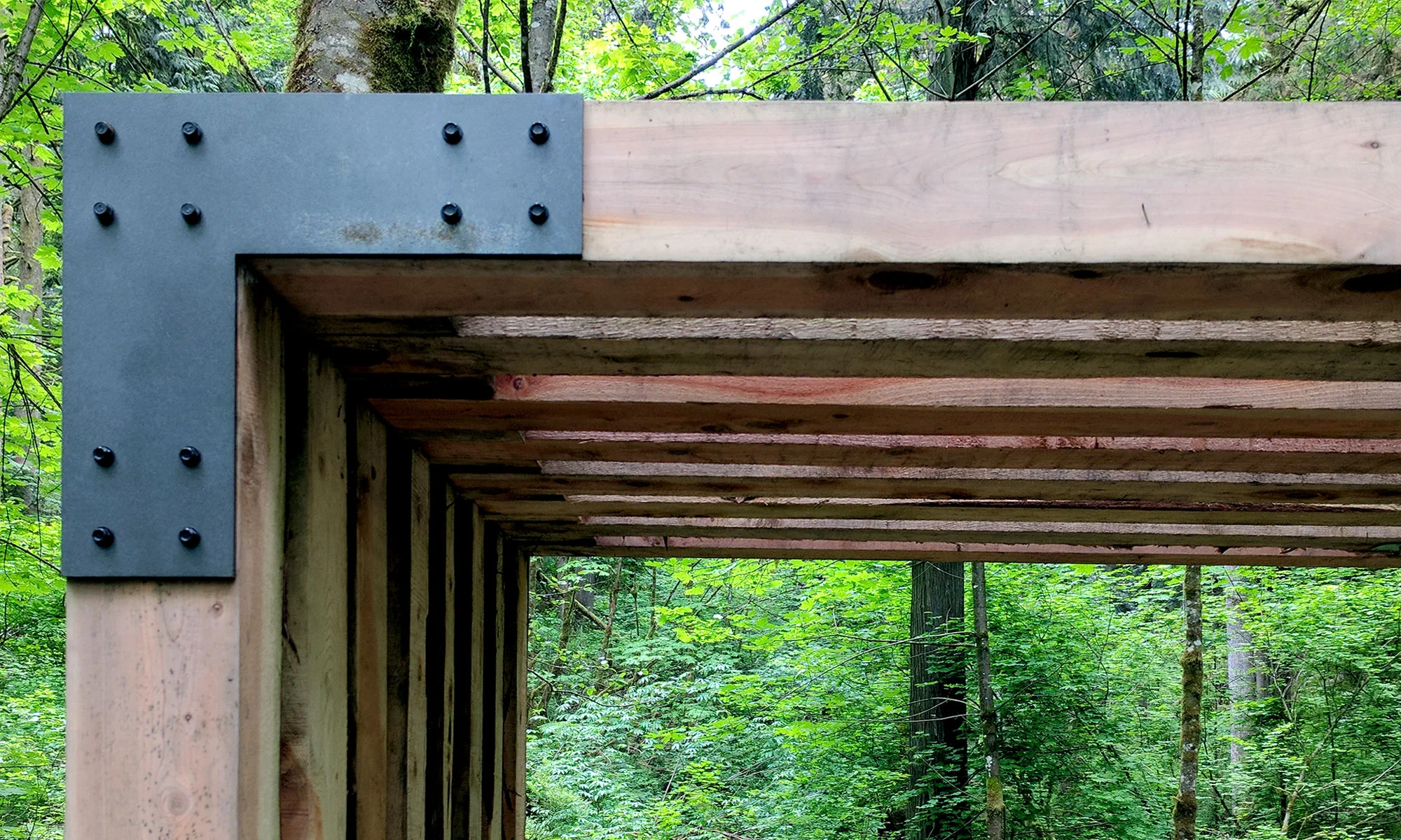 Ancient Forest Preserve Kiosk — Propel Studio Architecture | Portland ...