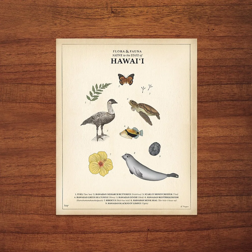 Hawaii Flora And Fauna