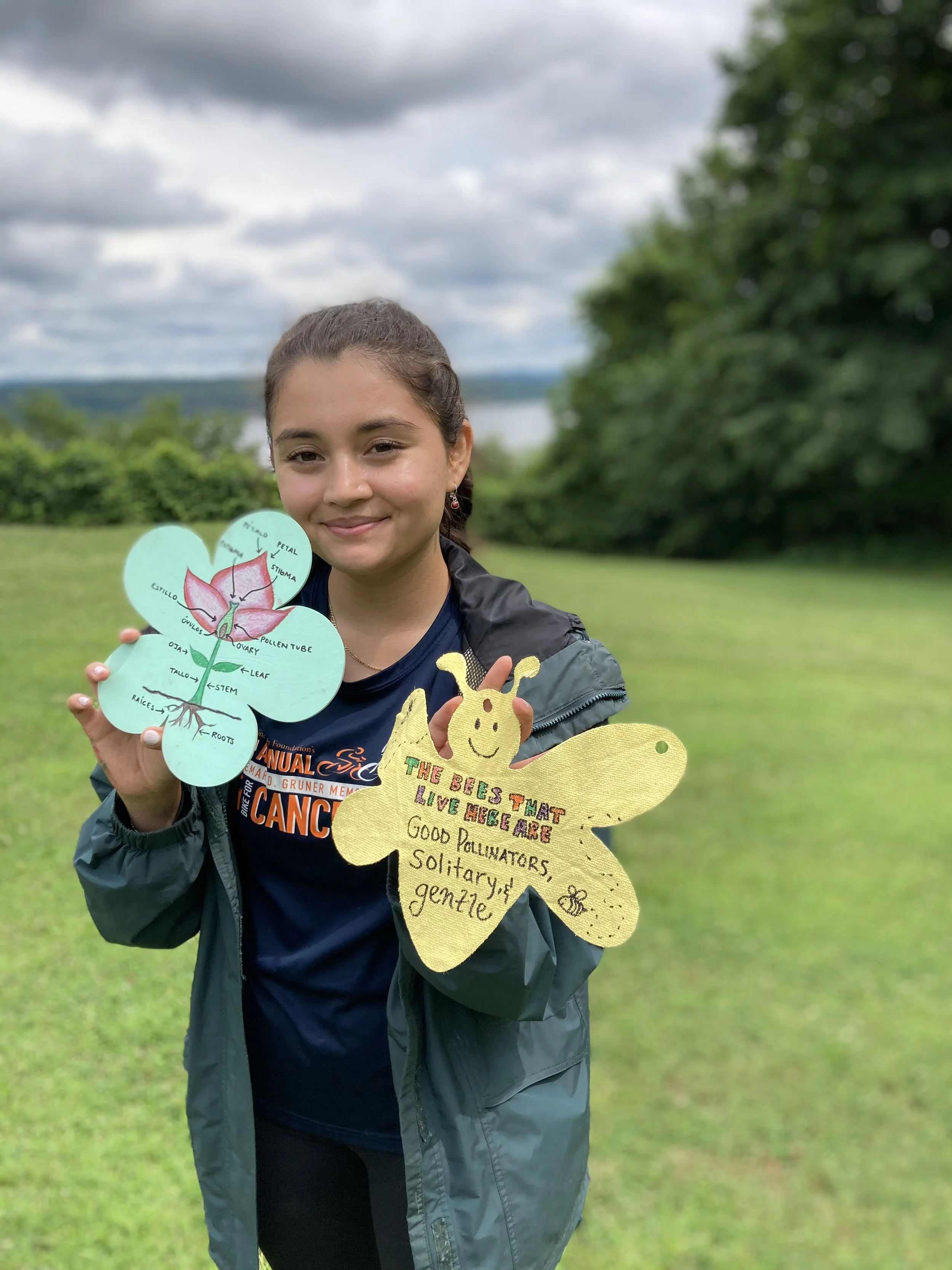 Hudson Valley Bee Habitat