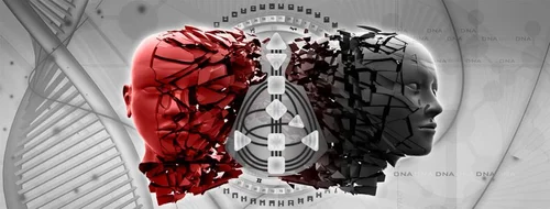 Human Design System Four Transformations: Determination - Environment ...