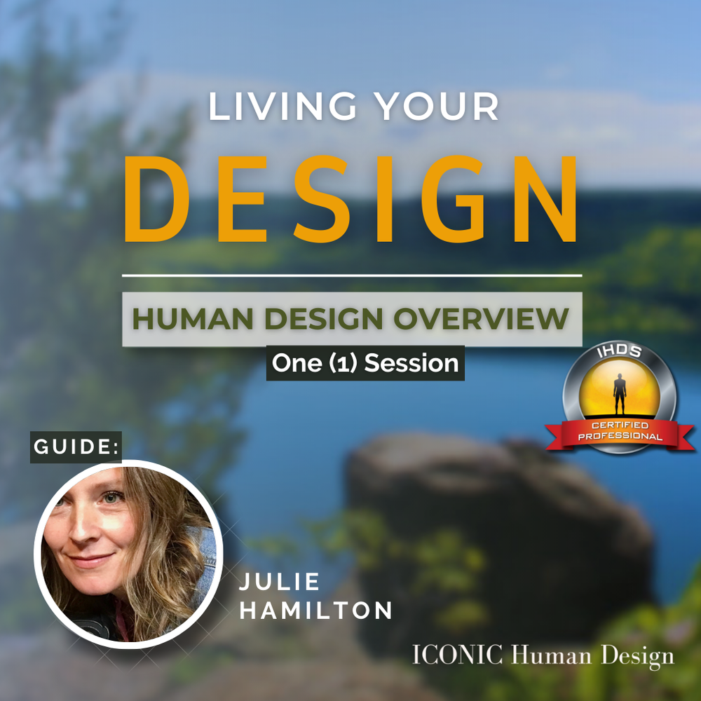 Human Design System Basic Concepts: Kinds of Chart Definition — Human ...