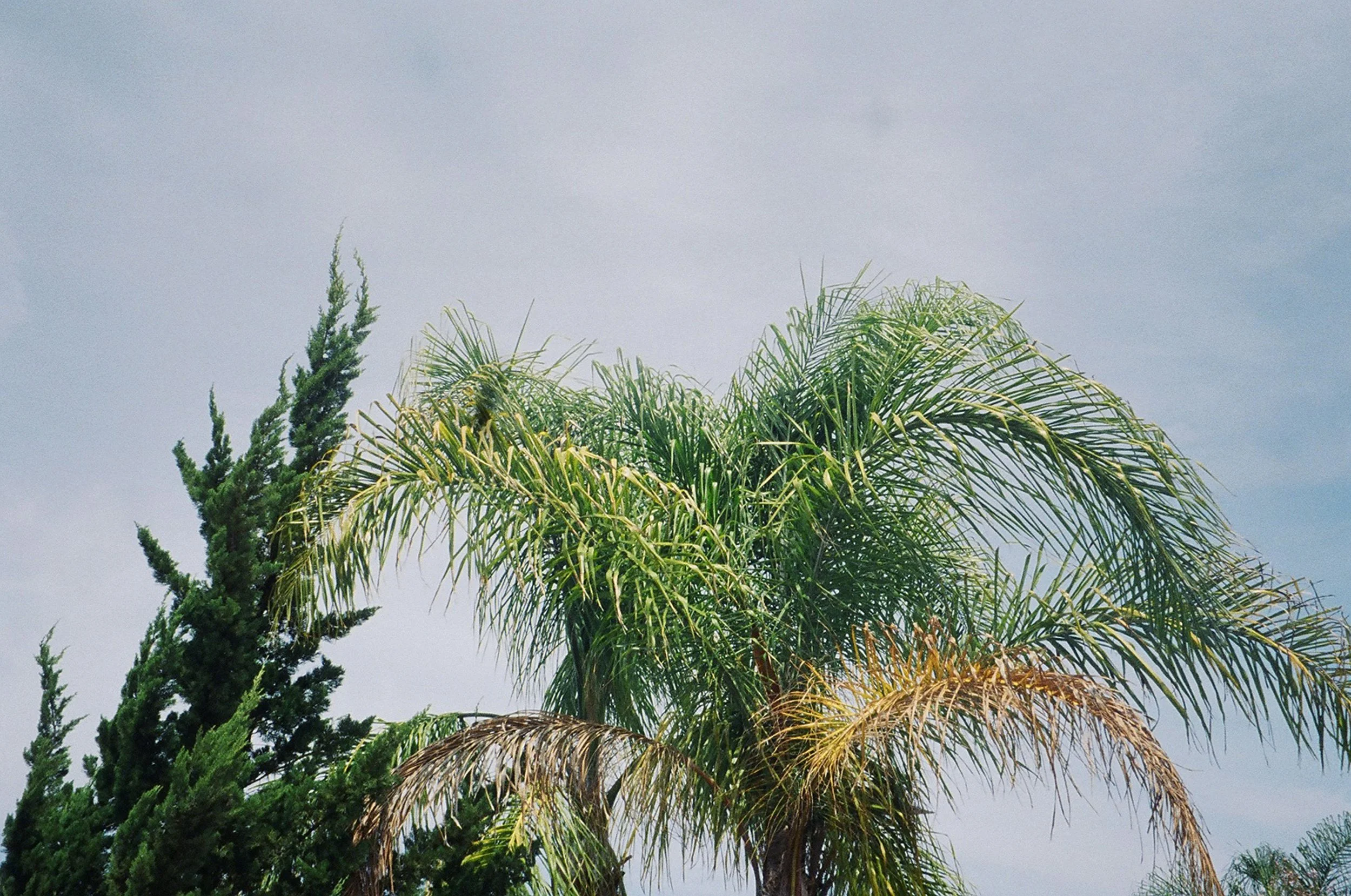 Personal — WILLIAM CALLAN