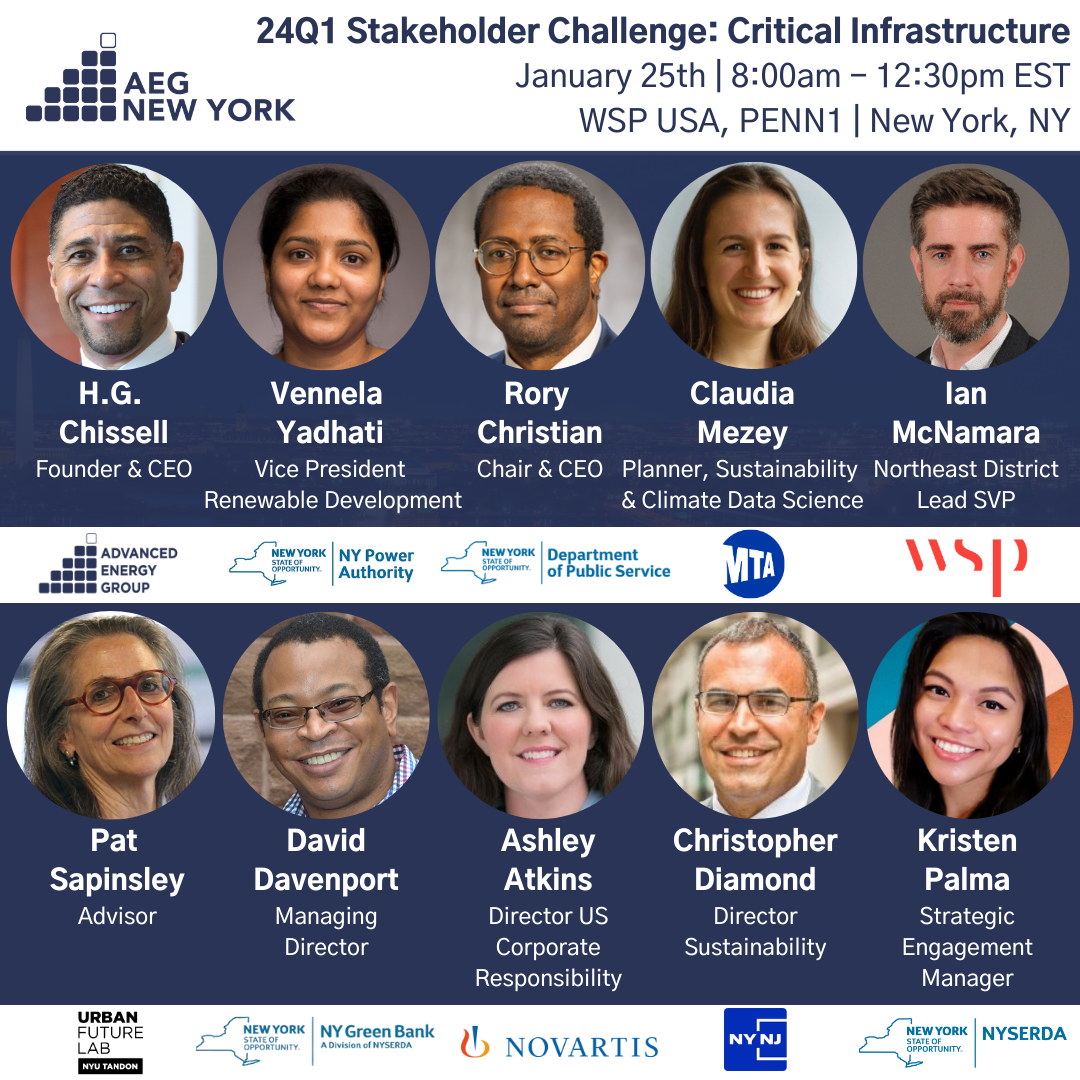 01.25.24 AEG New York 24Q1 Stakeholder Challenge on Critical Infrastructure - Participate