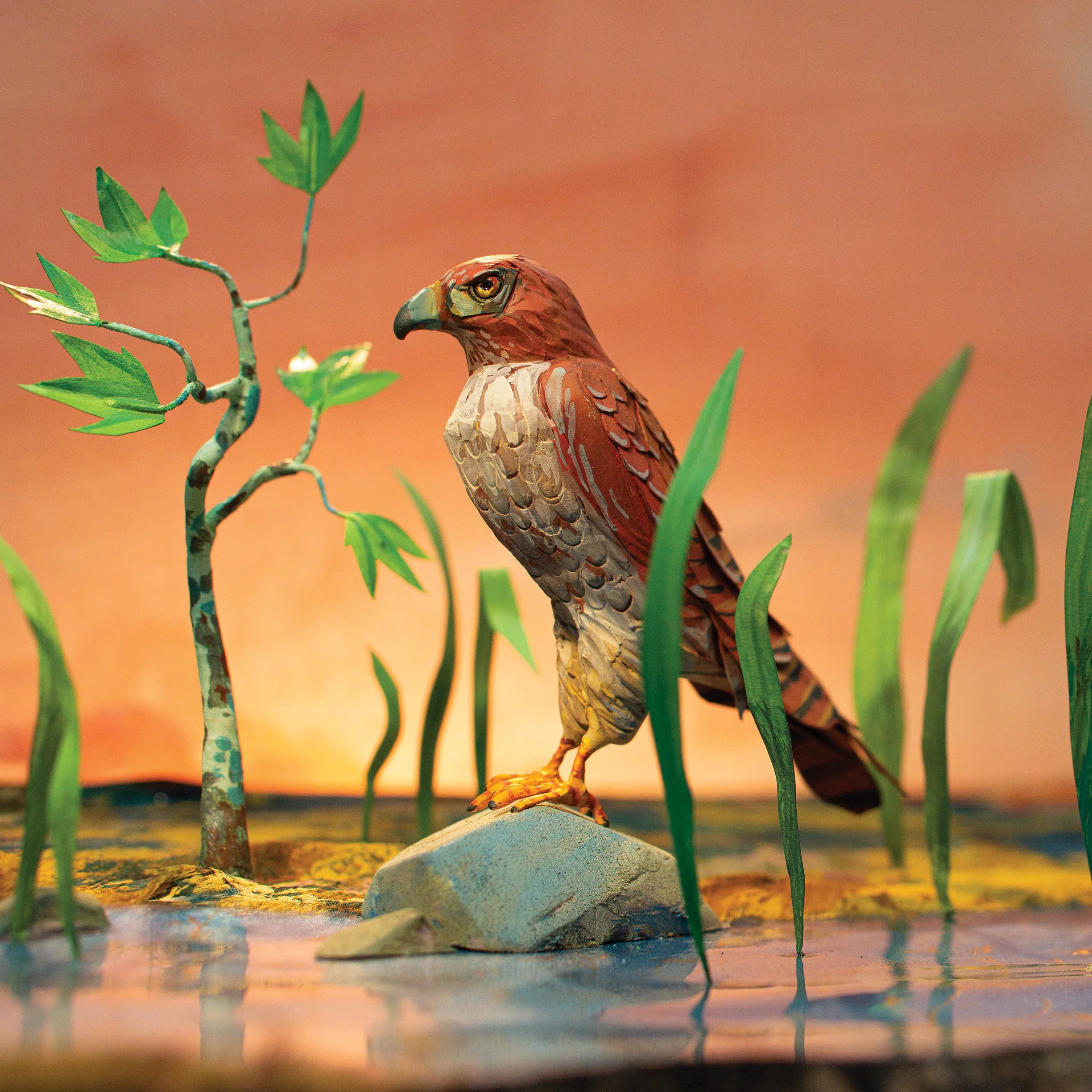 Deep Roots — Red Nose Studio