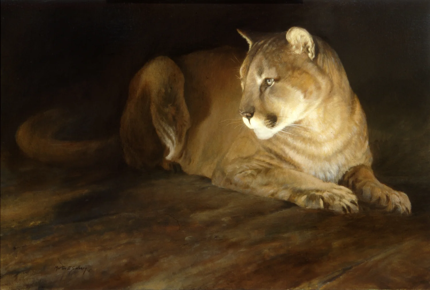 News — Morten E Solberg