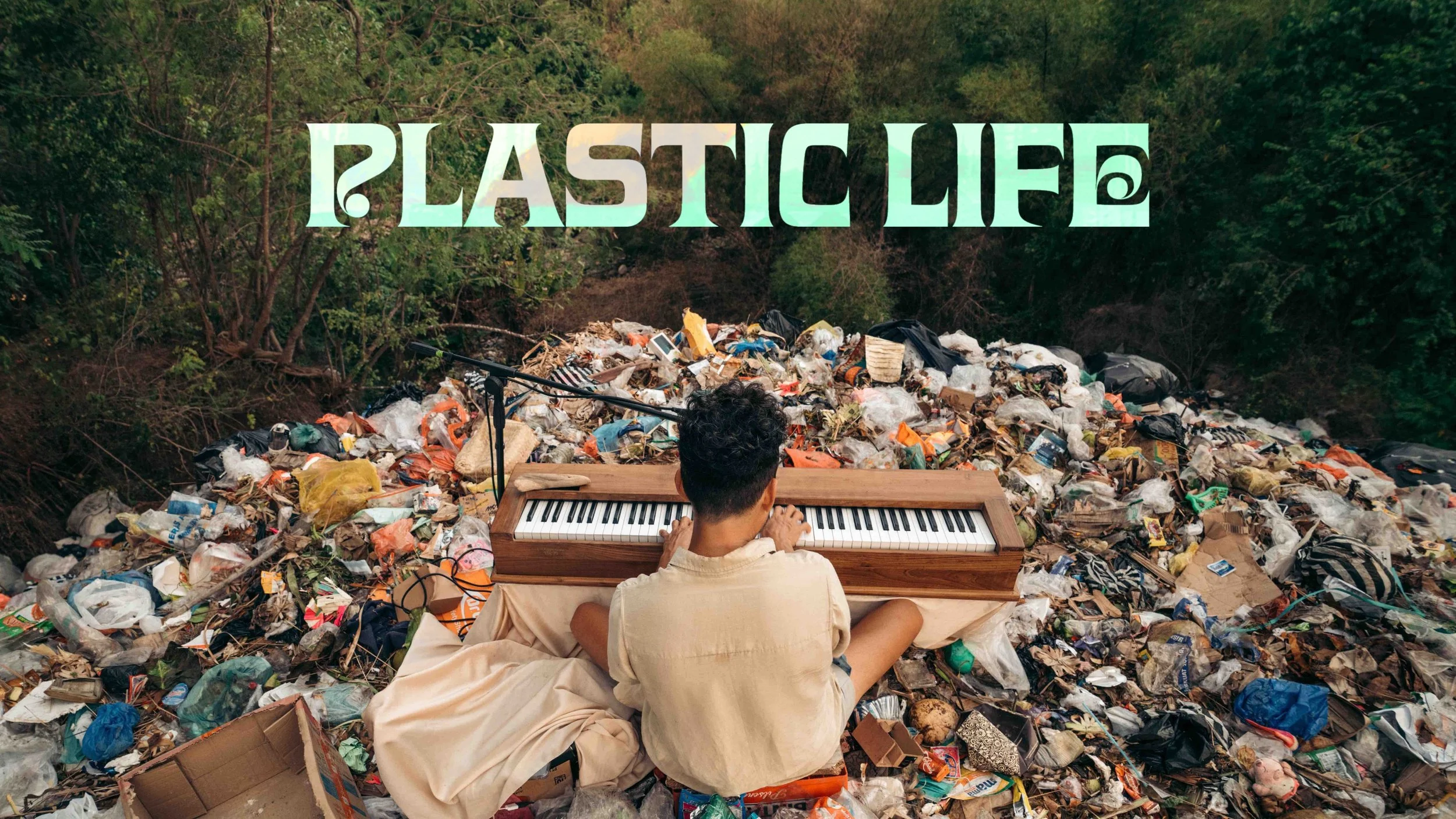 PLASTIC LIFE — ANIMAL FEELINGS Animal Feelings