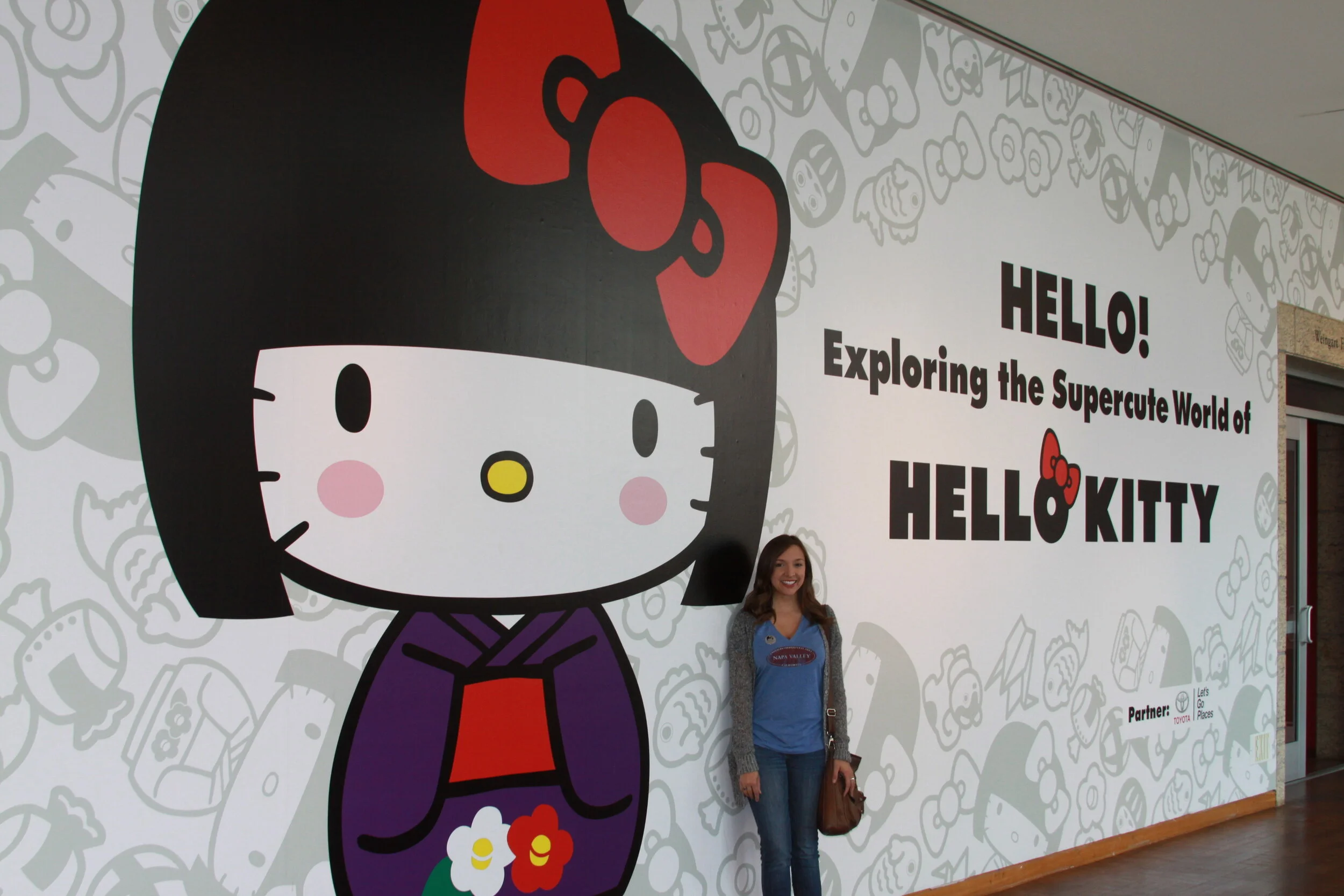 Hello Kitty and Friends Supercute Adventures — Verite Entertainment
