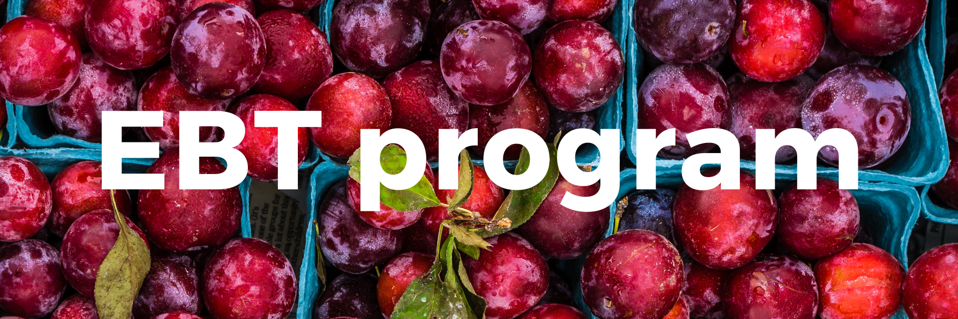 EBT Program — Turlock Certified Farmers Market