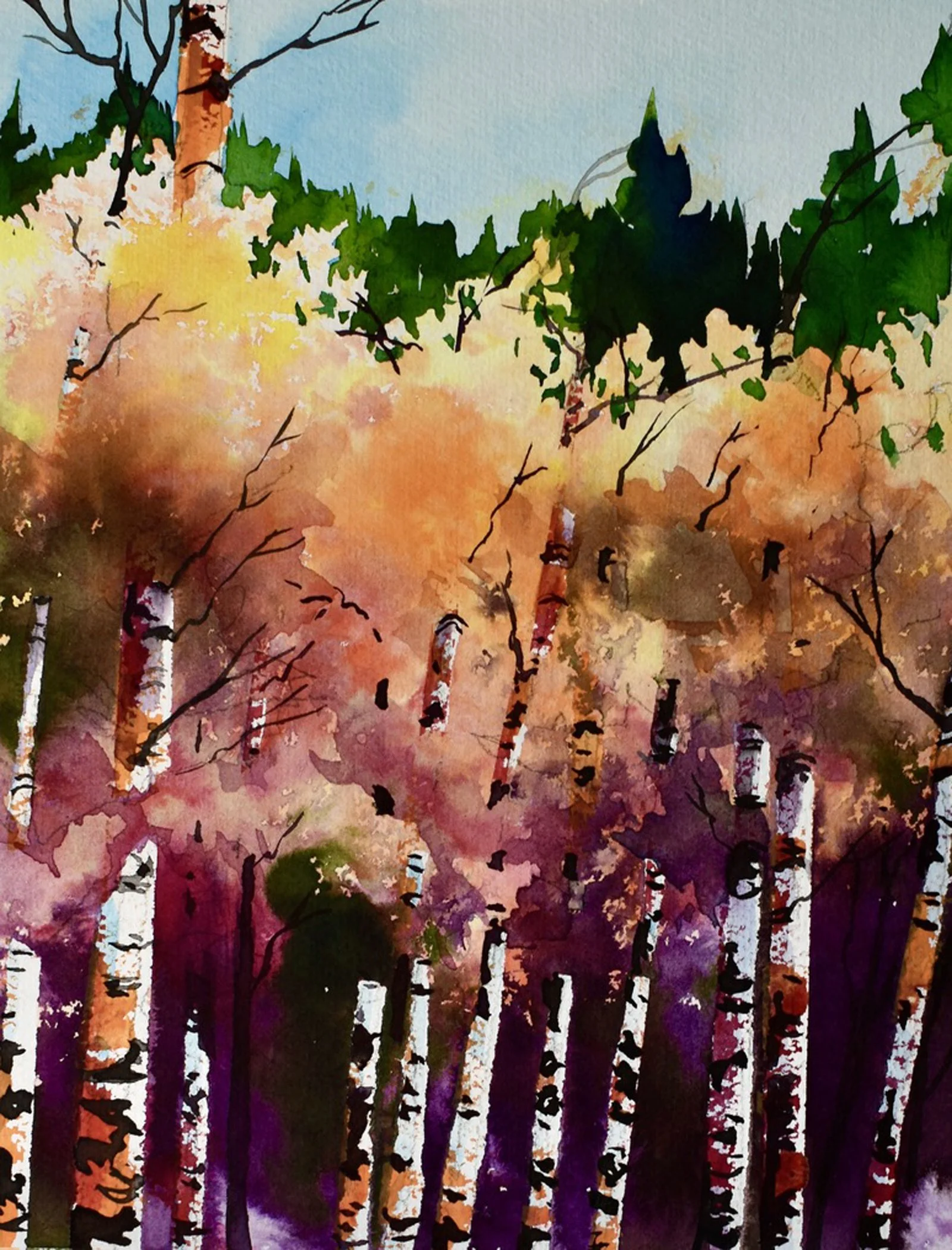 Shop — Janet Nunn Watercolors