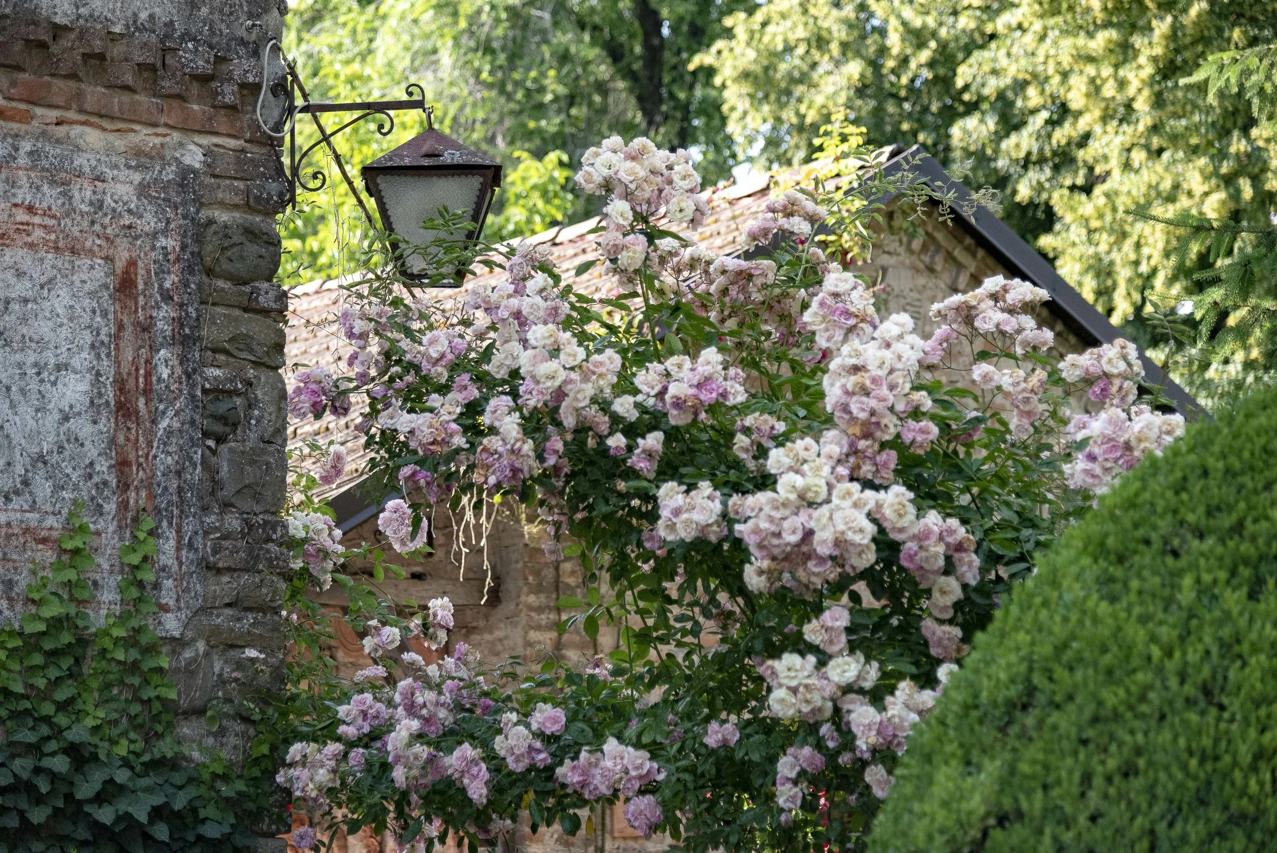 L'INCANTO DEL TRONO - GRAZZANO VISCONTI CELEBRA GAME OF THRONES ...