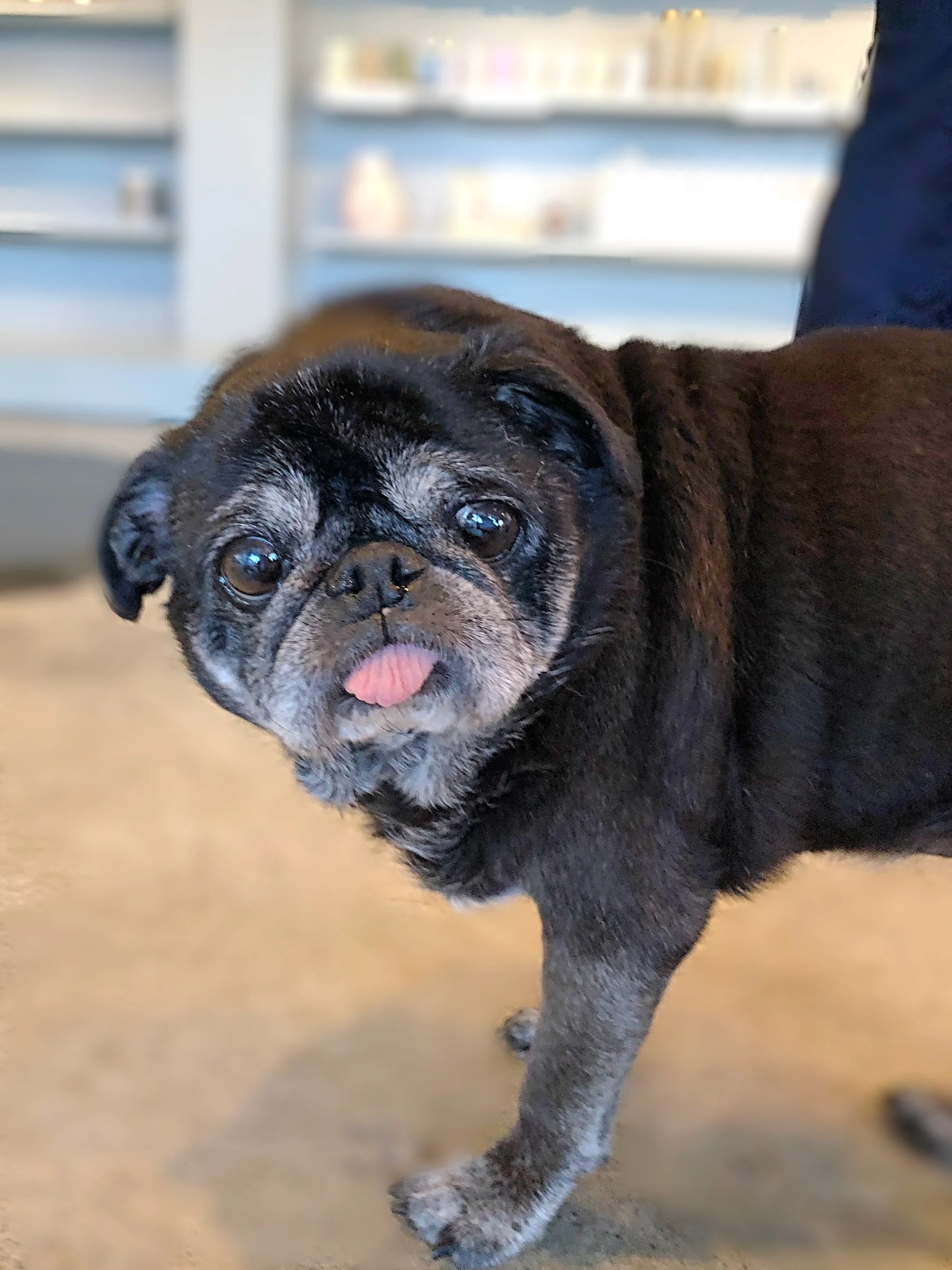 PATH Salon-The Best Hair Salon In Austin