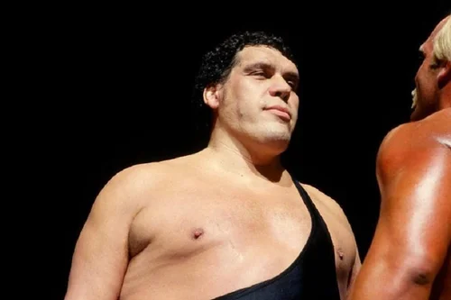 201 Greatest Pro Wrestlers of All Time List: Pro Wrestling's Greatest ...