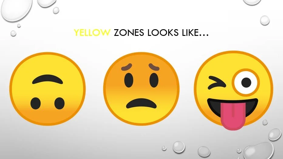 Zones of Regulation — Goolwa Primary School | Goolwa, South Australia