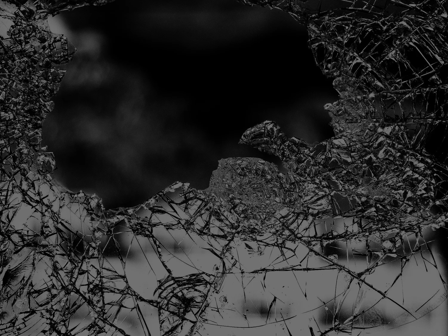 Repair broken glass, joinery and windows - North Shore | Rodney ...