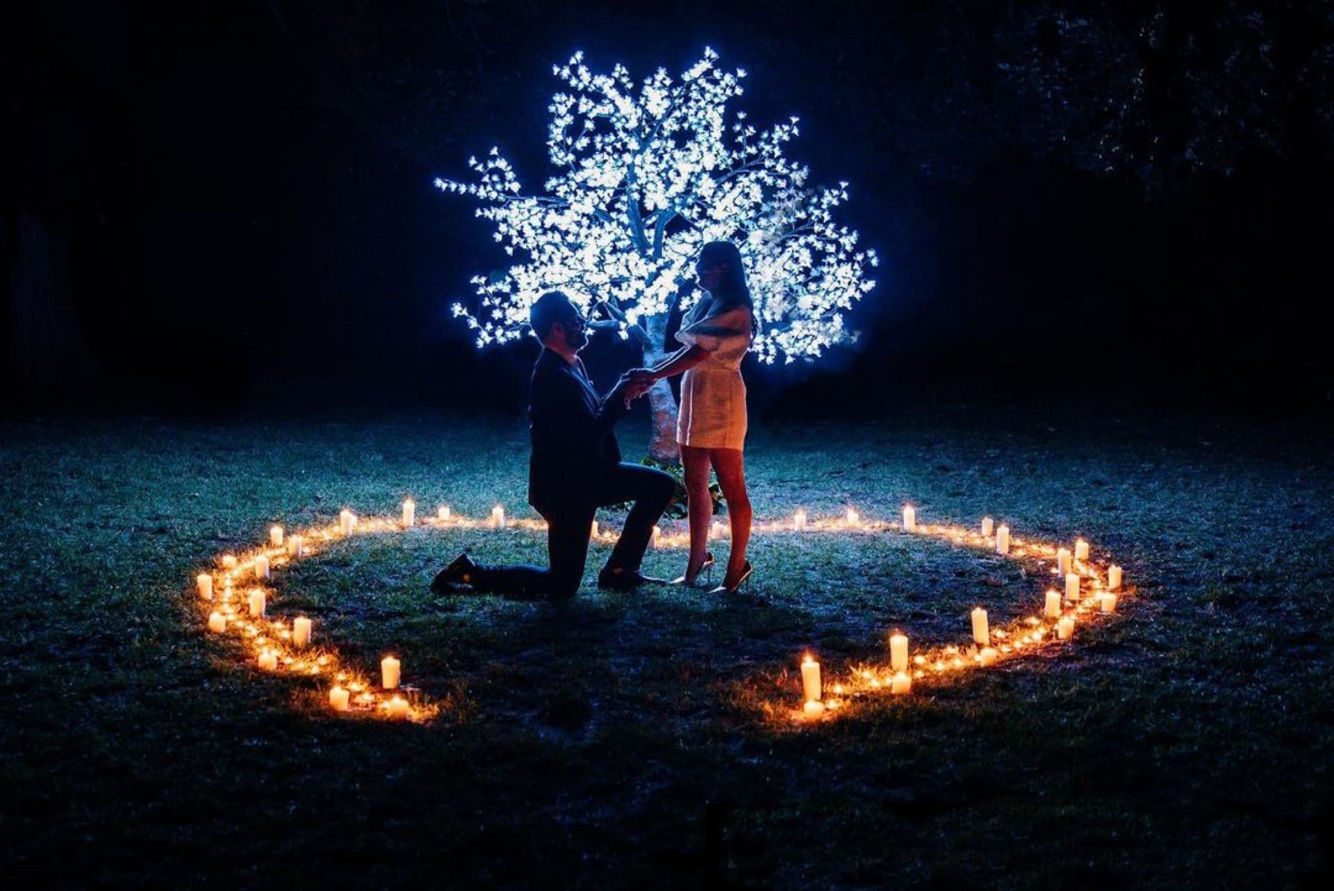 DecorTree | The Artificial Trees Company