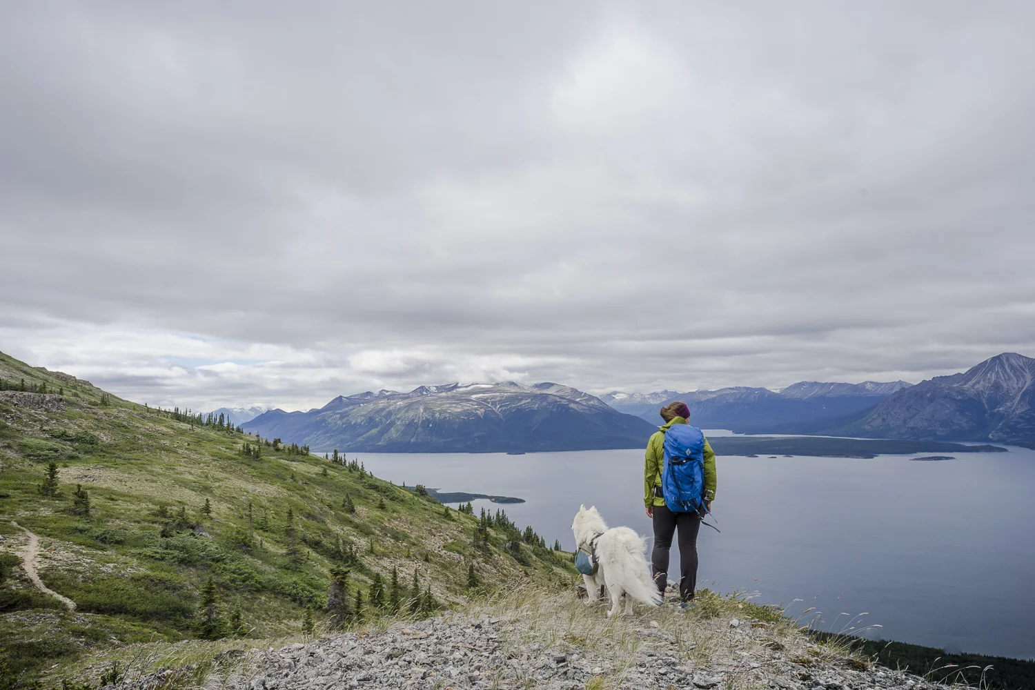 Northbound- The Long Road to Alaska — The Open Road Images| Outdoor ...