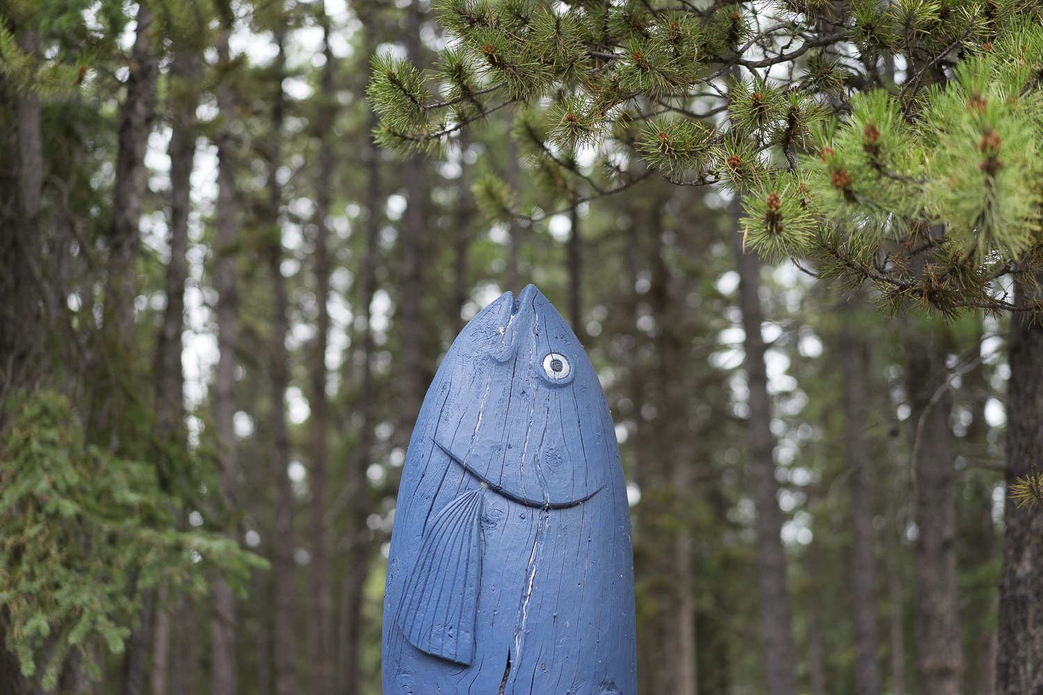 Northbound- The Long Road to Alaska — The Open Road Images| Outdoor ...