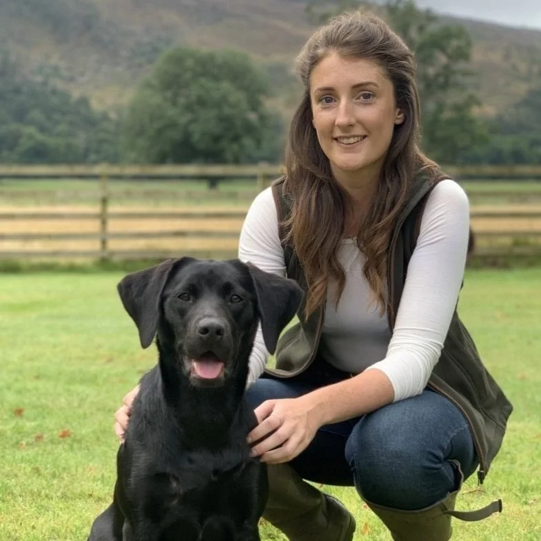 Meet the Team — VT Vets