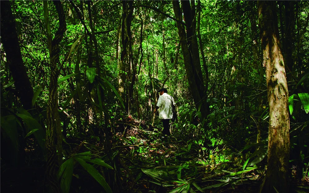 6 Maya Myths and Legends that will Show You a World of Ancient Magic ...