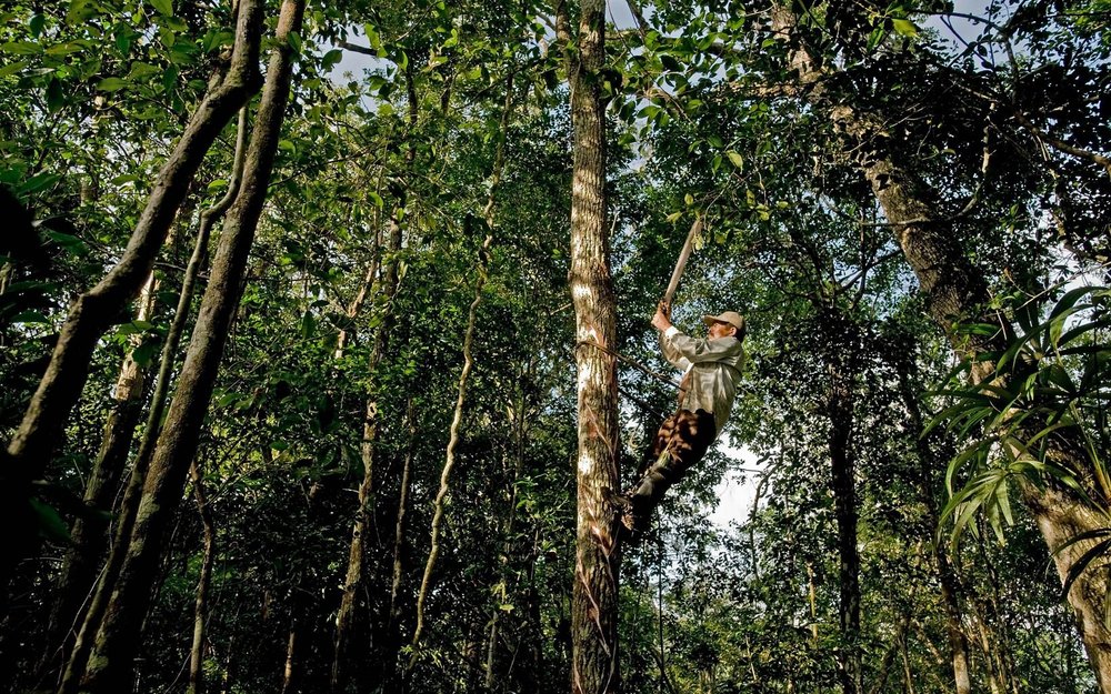 6 Maya Myths and Legends that will Show You a World of Ancient Magic ...