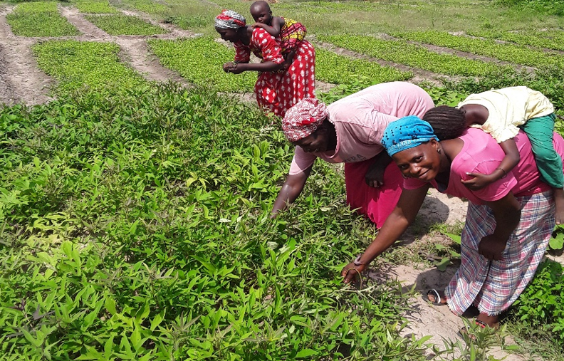 Communities Working Together