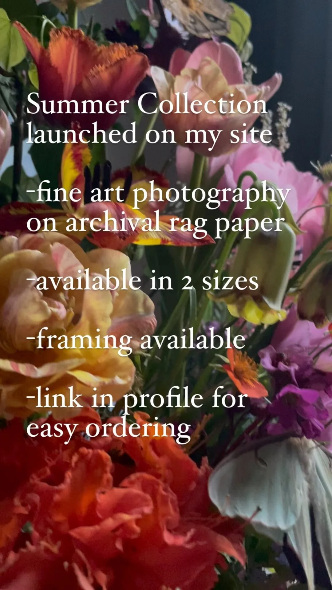 Kristin Sjaarda Photography