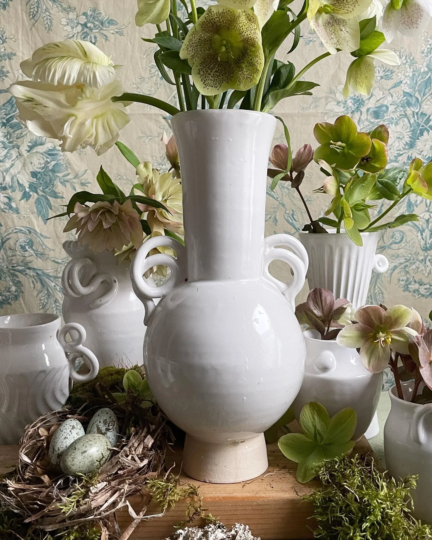 Kristin Sjaarda Photography