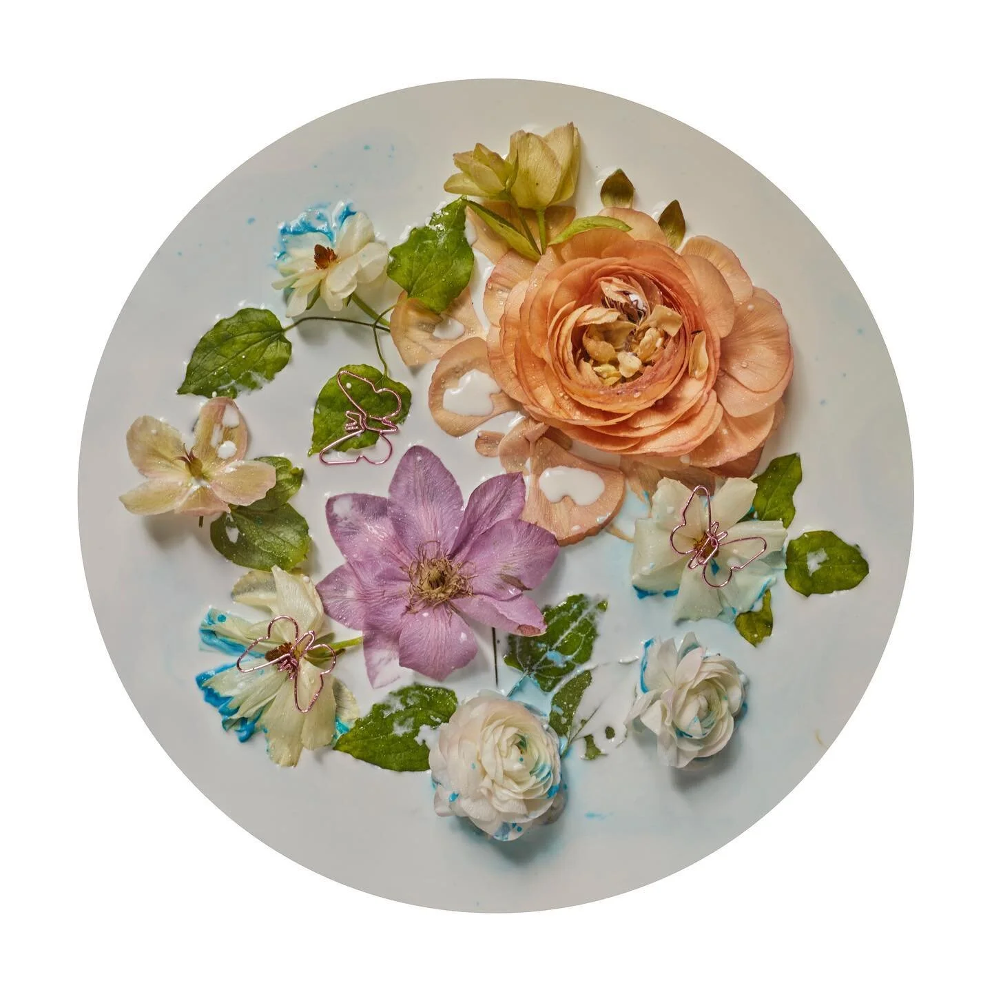 Kristin Sjaarda Photography