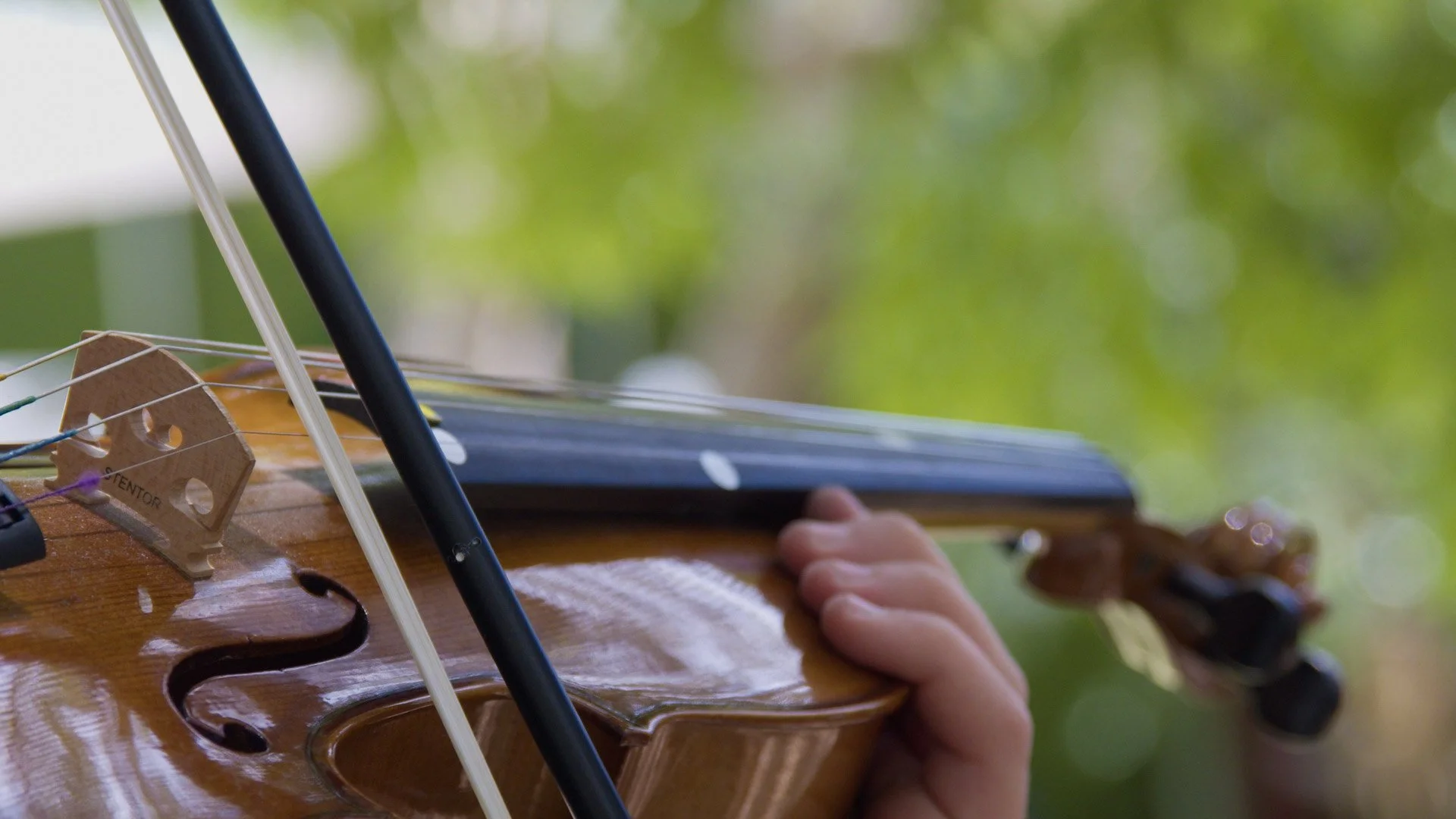 Maridahdi Primary and Early EducationMARIDAHDI