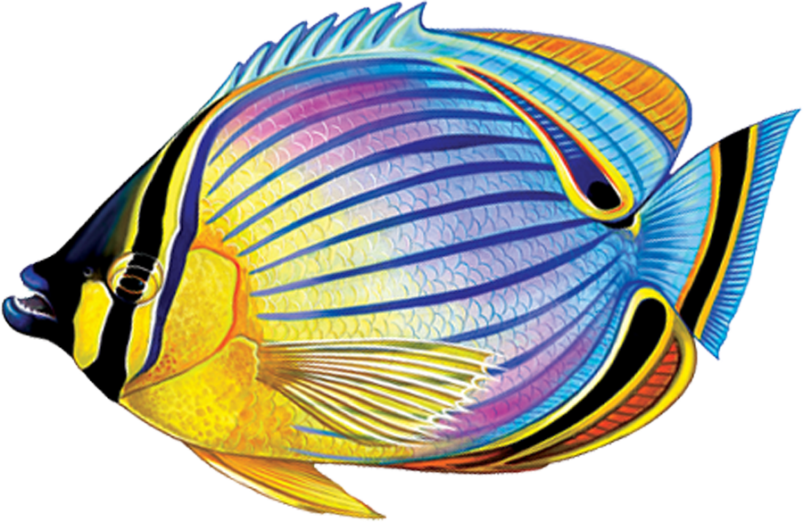 Porcelain Redfin Butterfly Fish Mosaic — Custom Mosaics