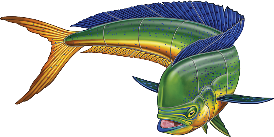 Porcelain Mahi Mahi Down Mosaic — Custom Mosaics
