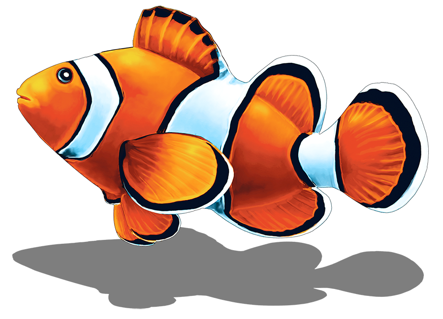 Porcelain Clown Fish Mosaic with Shadow — Custom Mosaics