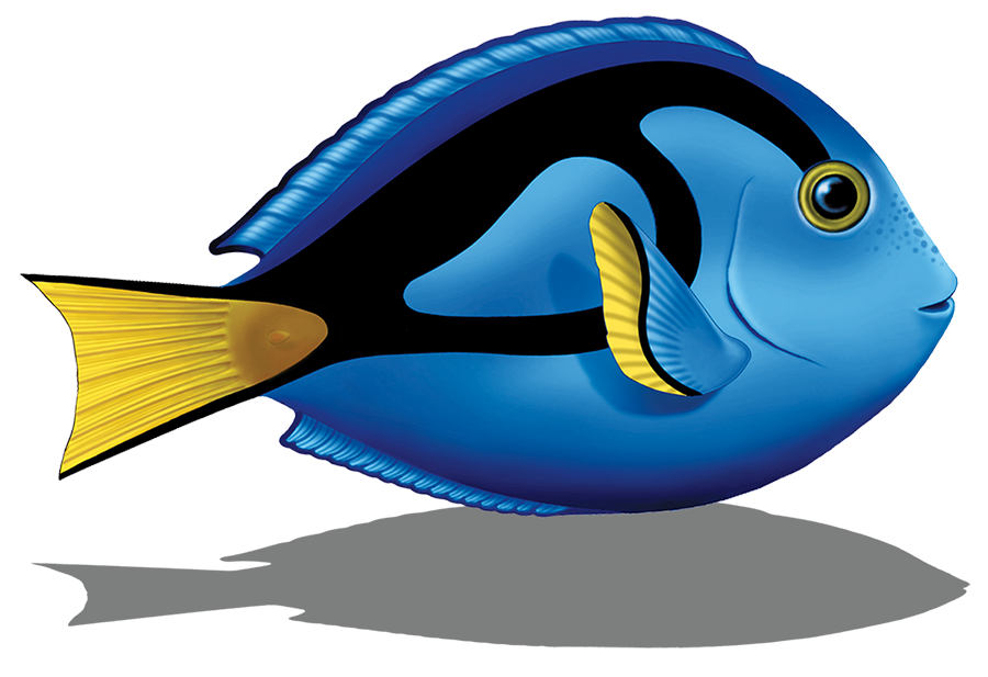 Porcelain Blue Tang with Shadow Mosaic — Custom Mosaics