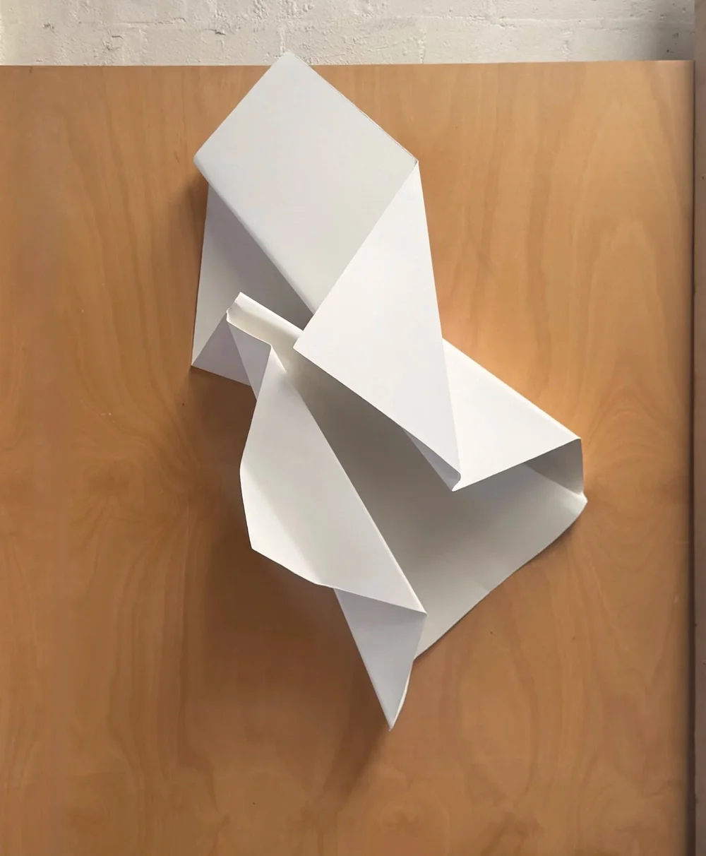 ORIGAMI FOLDS — THE VISUALS