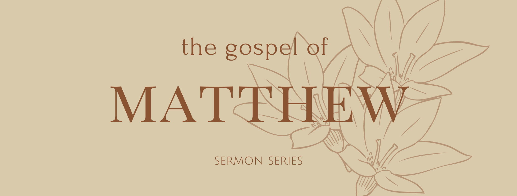 Gospel Of Matthew Sermon Series
